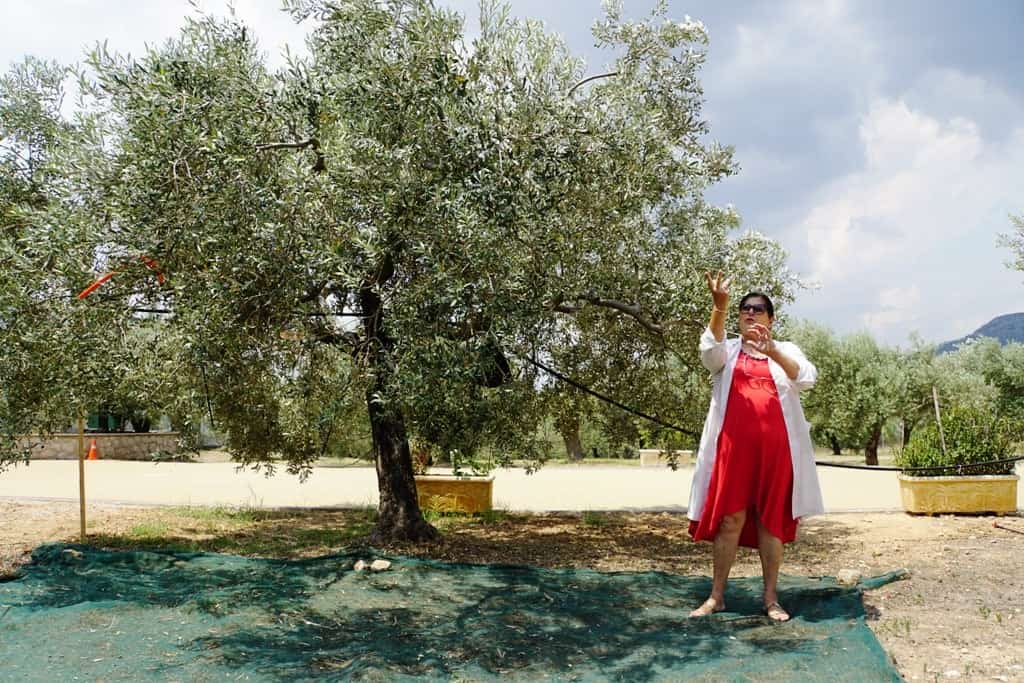 A Guide to Tolo, Greece - Unfolding Greece