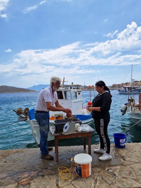 A Guide to Halki Island - Unfolding Greece